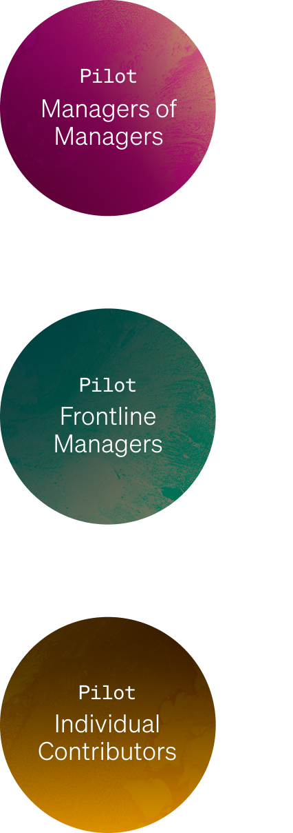 Pilots vs Passengers | BetterUp